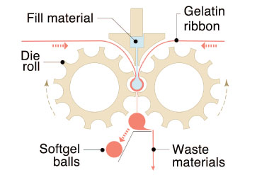Web guides for softgel capsule machines » TIM OXTOBY - Motion Control ...